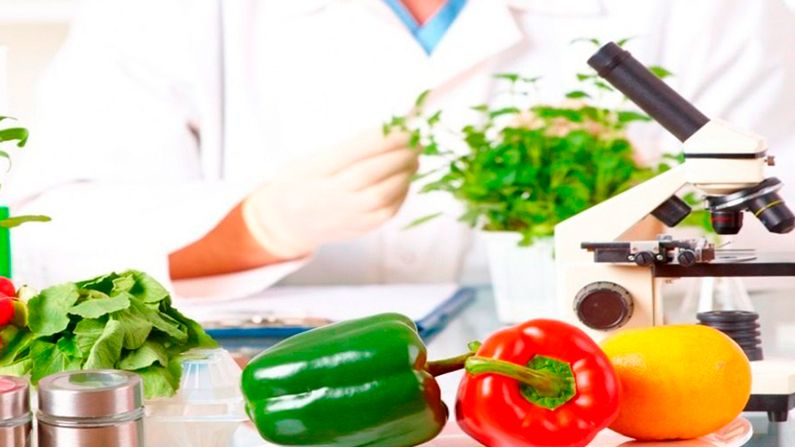 Cultura de Inocuidad Alimentaria - Food Partners